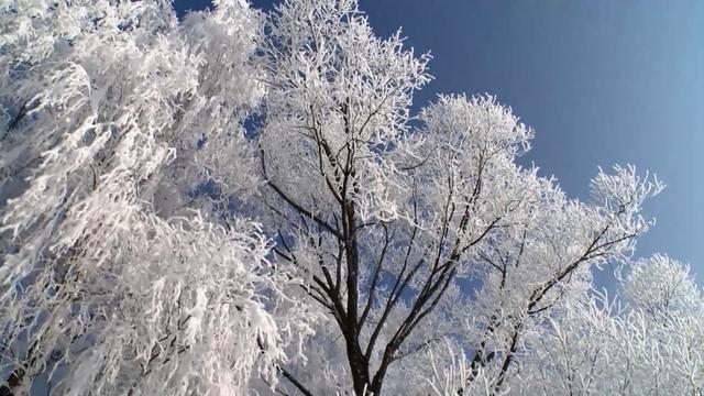 Na policejní služebnu přinesl člověk historickou zbraň. V Česku ...